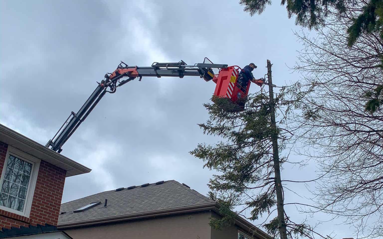 Crane Man Basket Work - Braymore Crane Rental